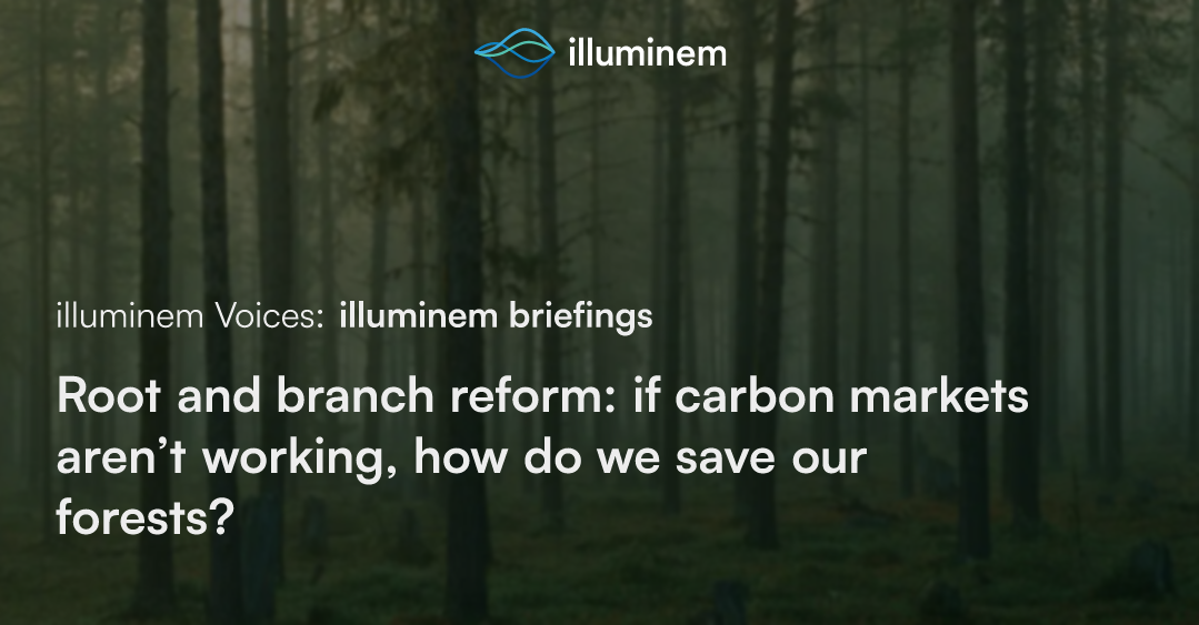 Root And Branch Reform If Carbon Markets Arent Working How Do We