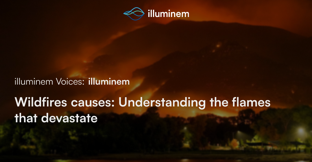 Wildfires causes: Understanding the flames that devastate | illuminem